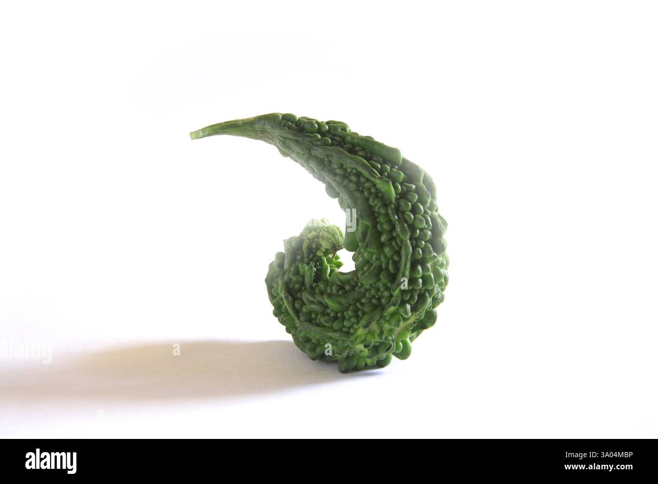 Green vegetable, karela bitter gourd momordica charantia on white ...