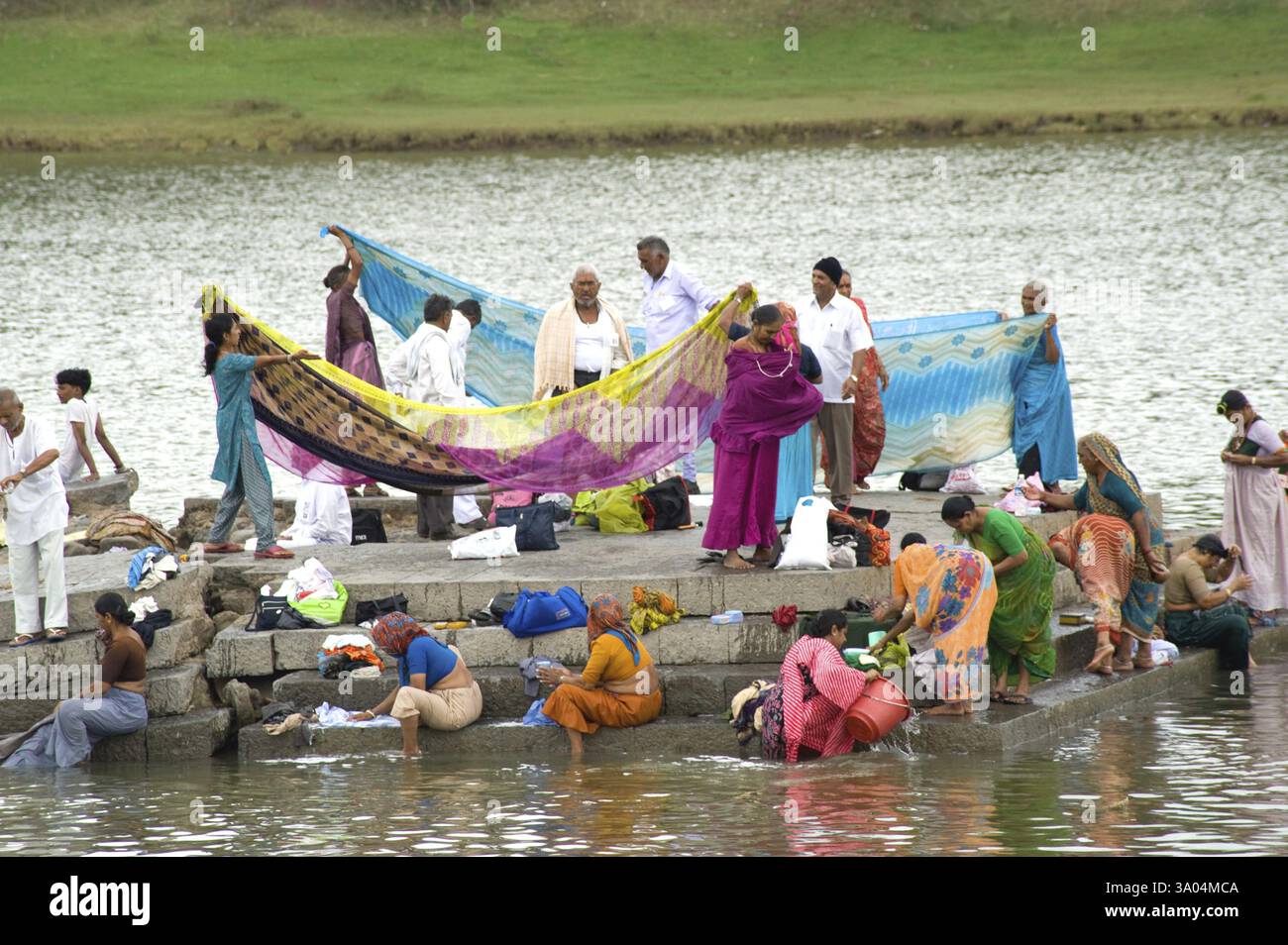 Black, goat, tight, teat, udder, Animal, Animals, cattle, cattle, close ...