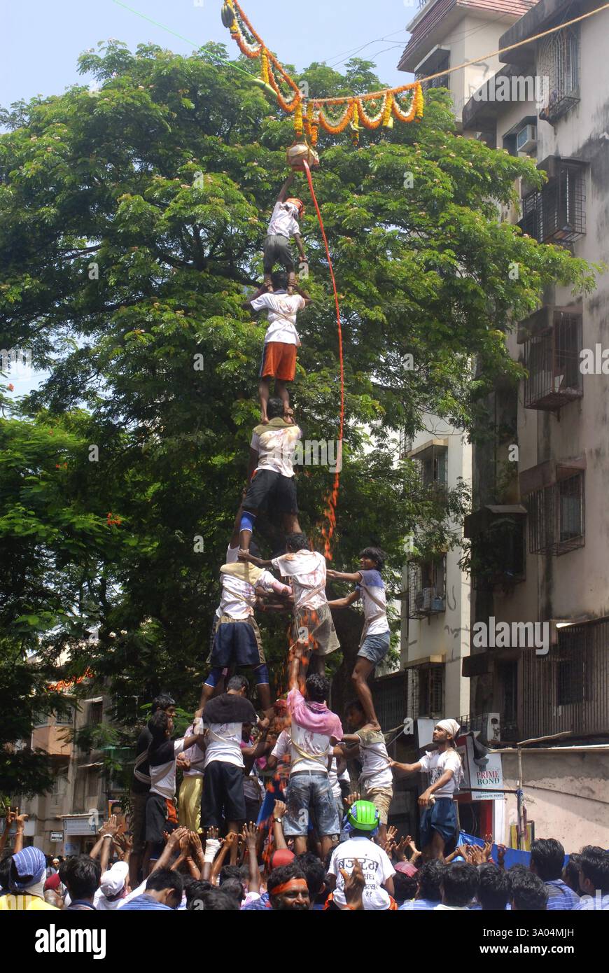 Human pyramid broke dahi handi on janmashtami gokulashtami festival at ...