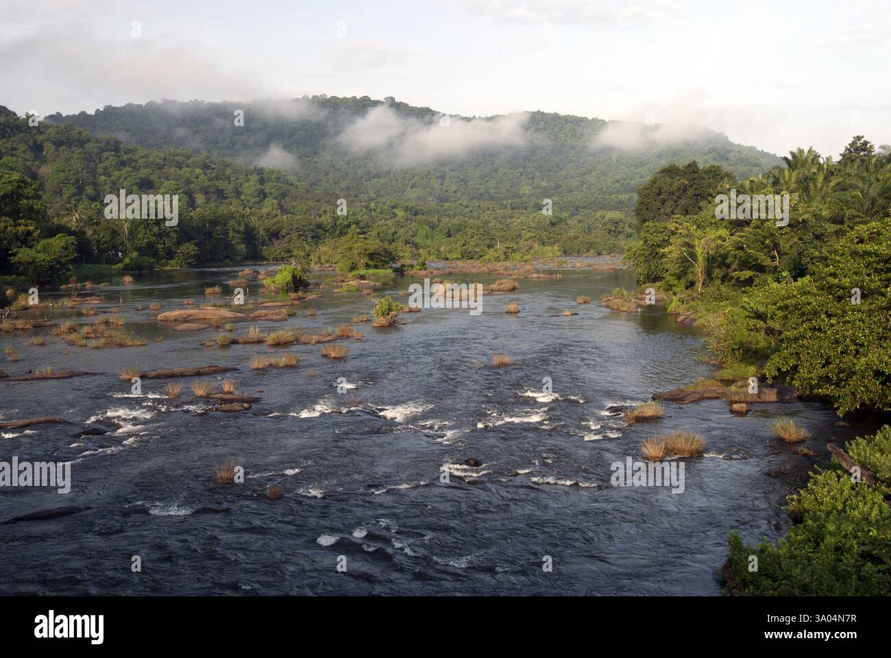 Chalakkudi chalakudy river flowing through vazhachal forest, Kerala ...