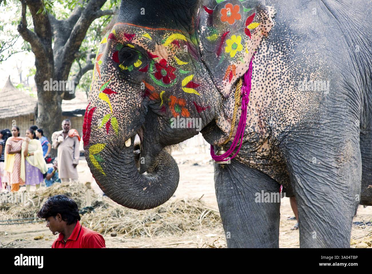 Elephant painted head at Sonepur cattle fair, Bihar, India, Asia Stock ...