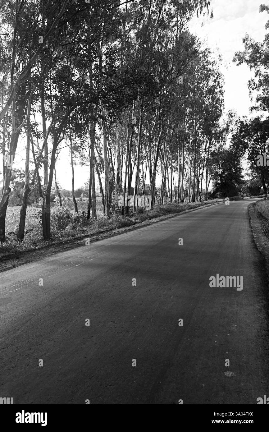 Road at Ralegaon Siddhi Maharashtra India Asia sept 2011 Stock Photo ...