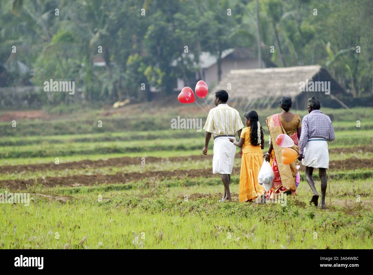 People carrying balloons for festival, kerala, India, Asia Stock Photo ...