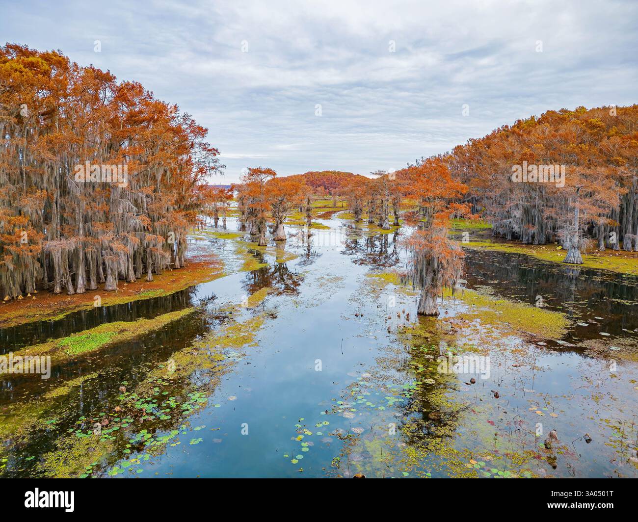 Aerial view of Caddo Lake State Park stunning fall colors at Texas ...