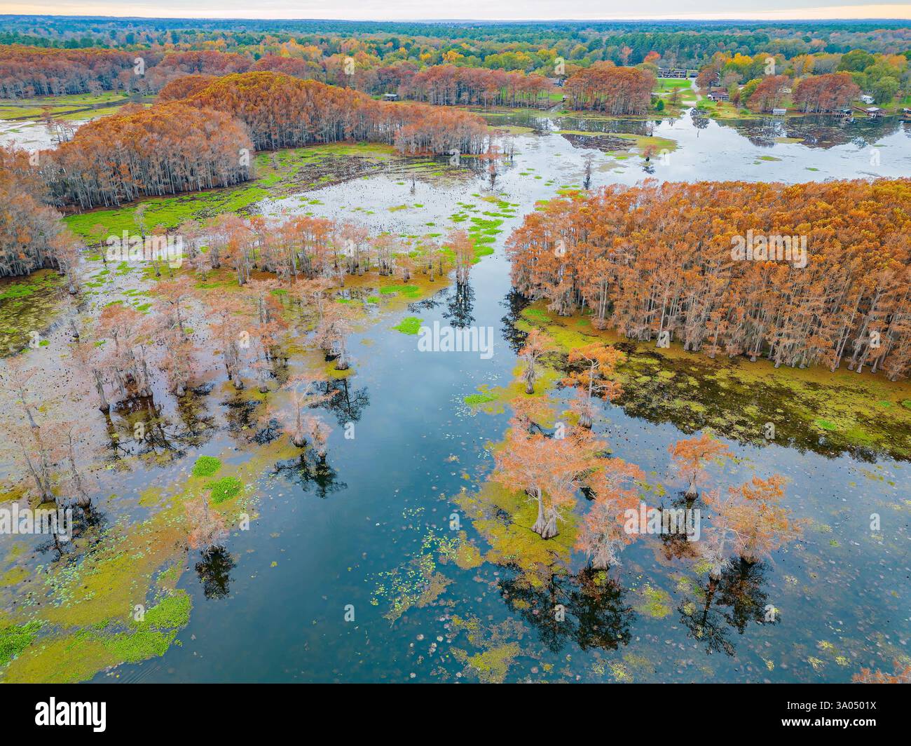 Aerial view of Caddo Lake State Park stunning fall colors at Texas ...