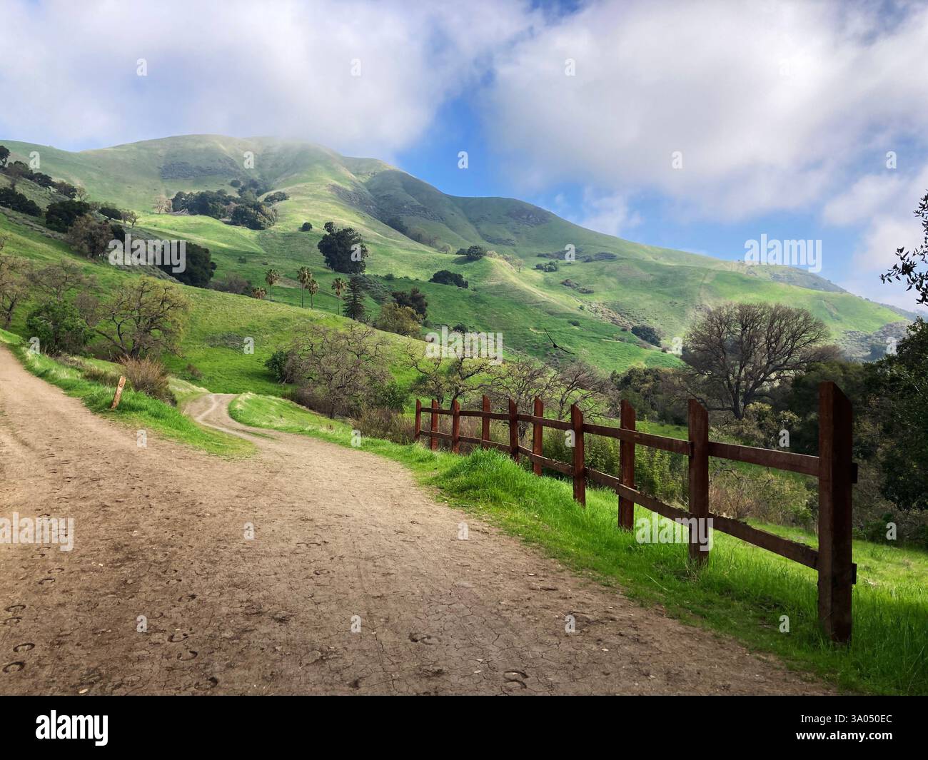 A dirt trail with visible hoofprints curves through a lush green ...