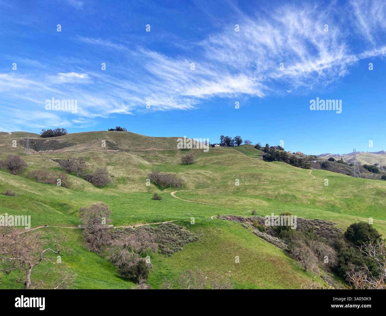 Rolling green hills with scattered trees and winding dirt paths stretch ...