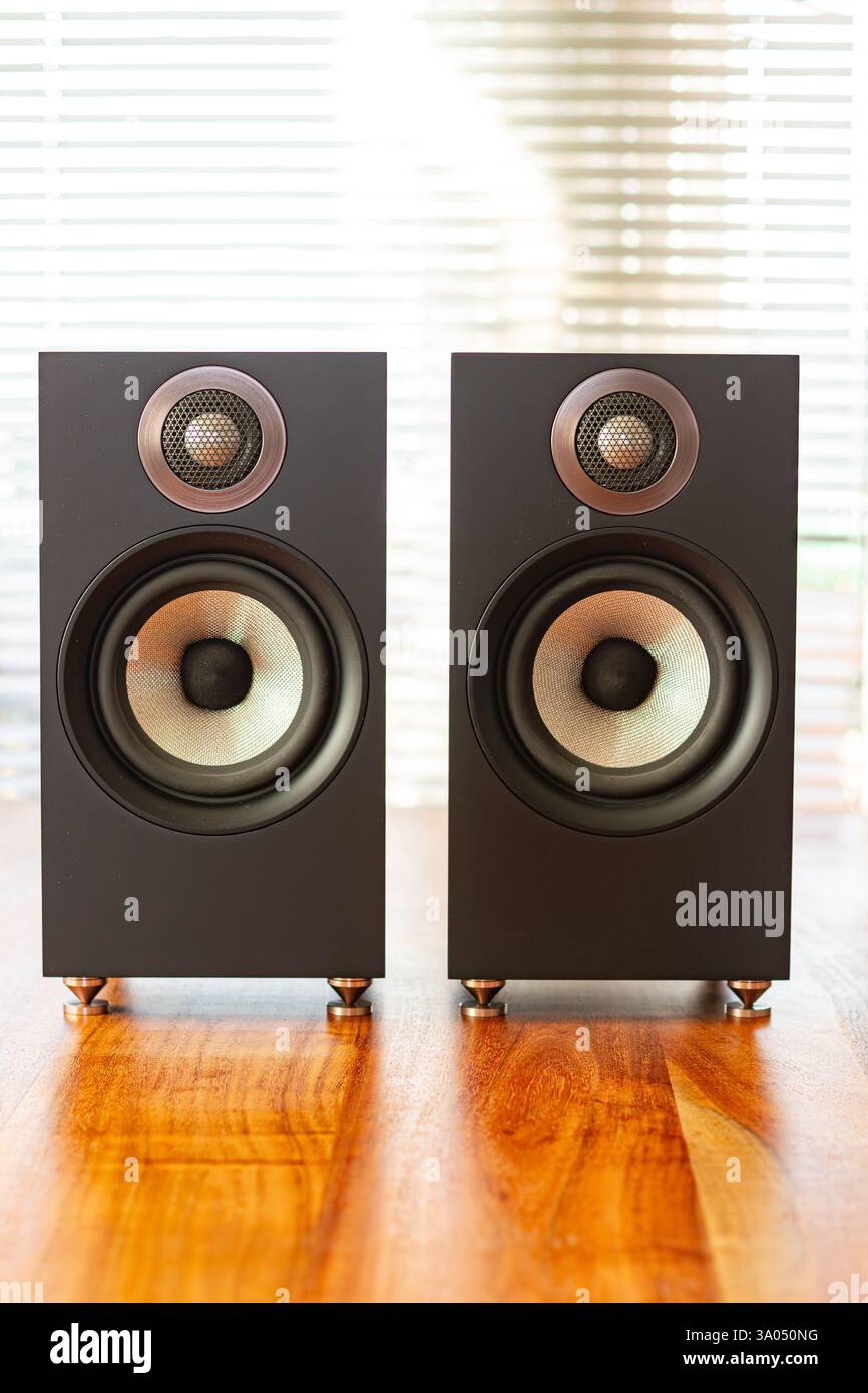 Pair of sleek, professional speakers positioned on a wooden surface ...