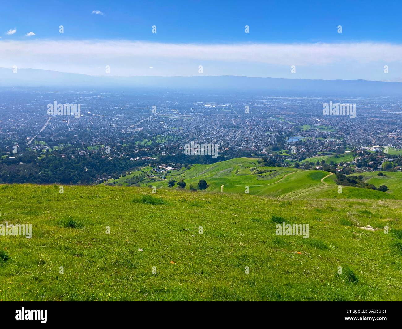 A vibrant green slope with scattered trees opens up to a view of ...