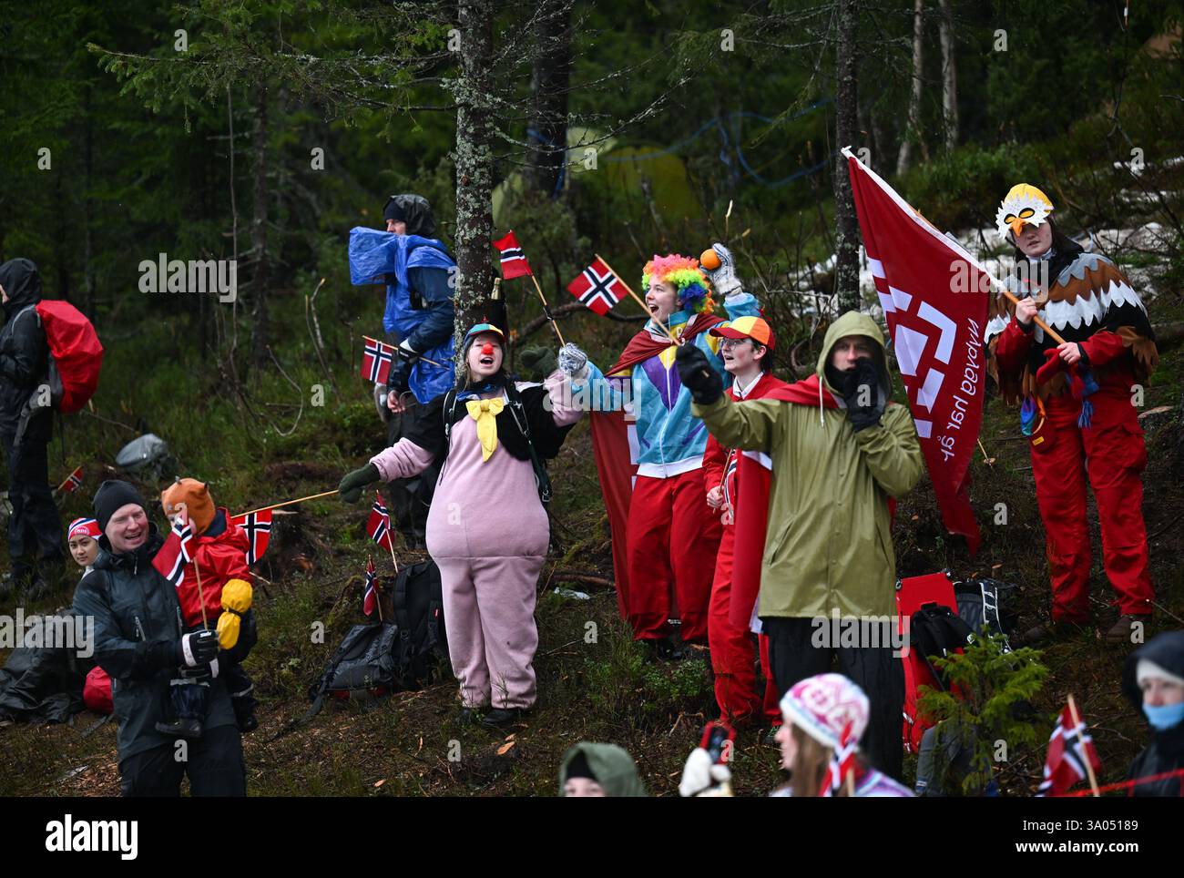 02 March 2025, Norway, Trondheim: Nordic skiing, World Championships ...