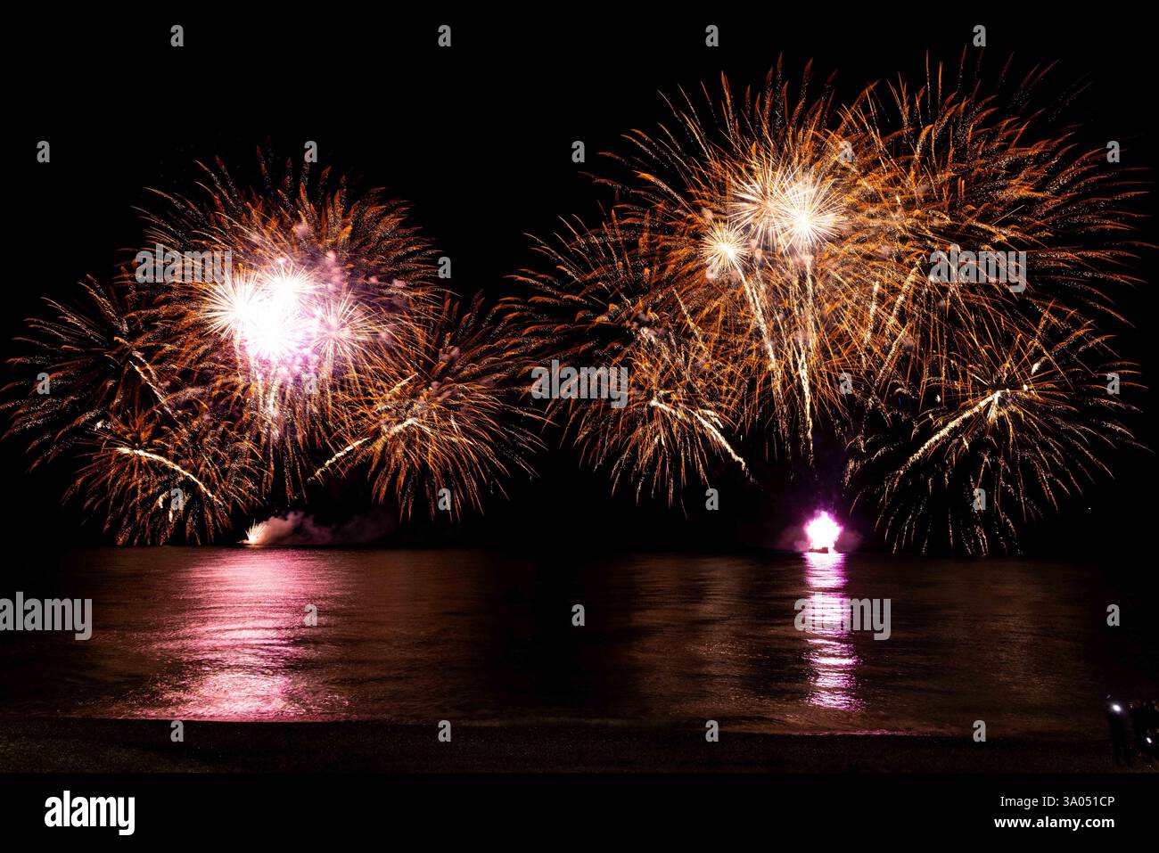 Cremation of the Carnival King on the beach of Nice and closing ...