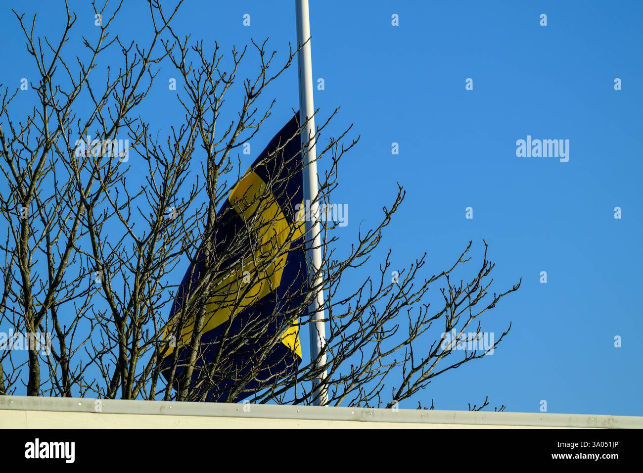 A flag is flying at half-mast, caught between the branches of a tree ...