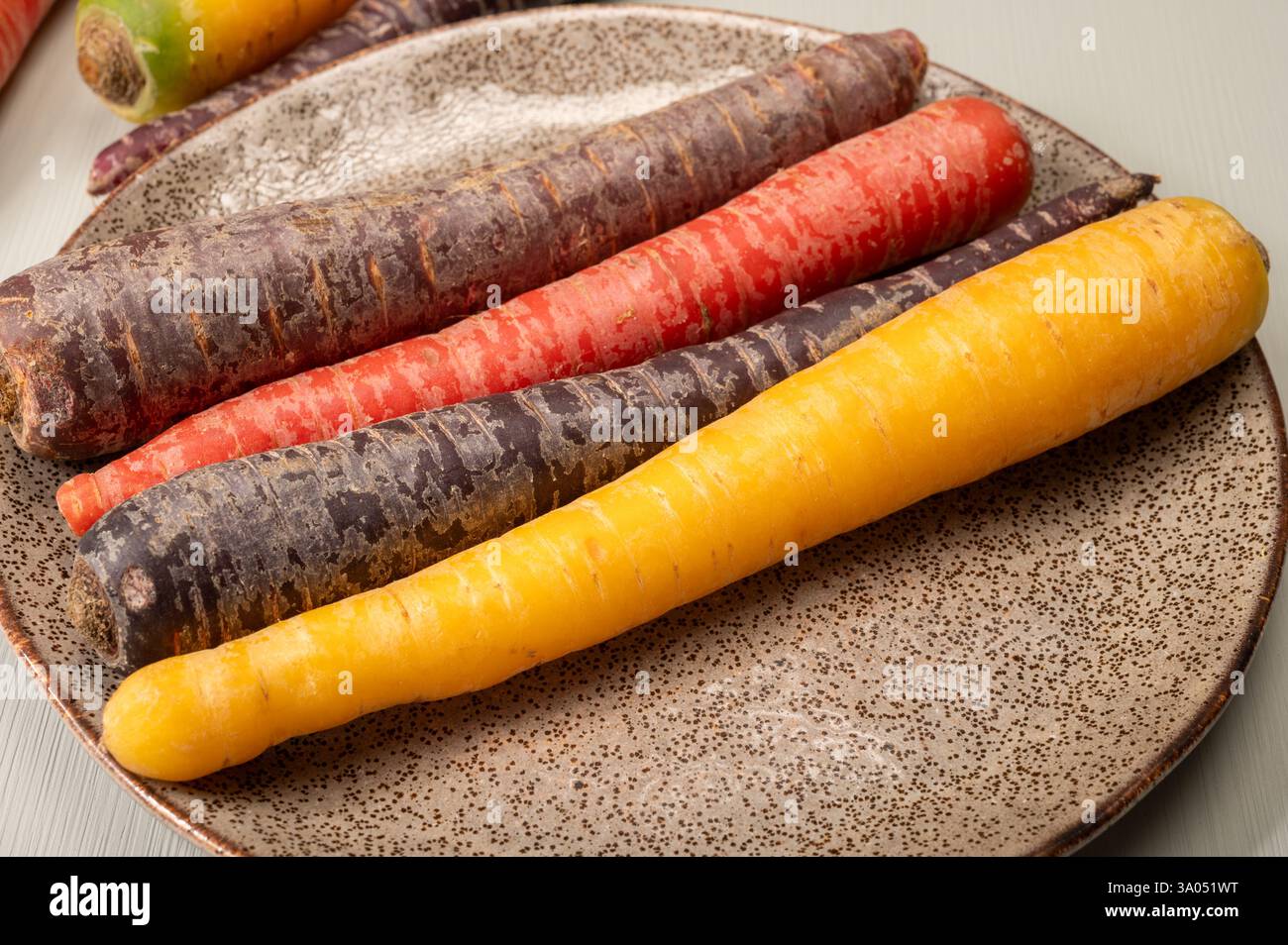 Colorful fresh raw purple, yellow, red and purple-orange carrots roots ...