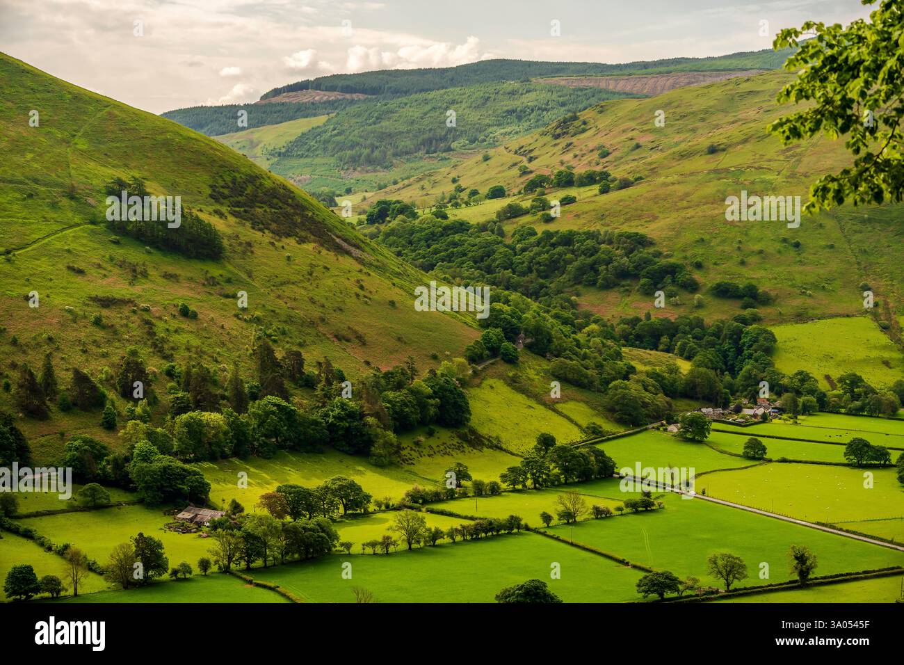 Rolling Green Hills of Gwynedd, Wales Showcasing Verdant Farmland ...