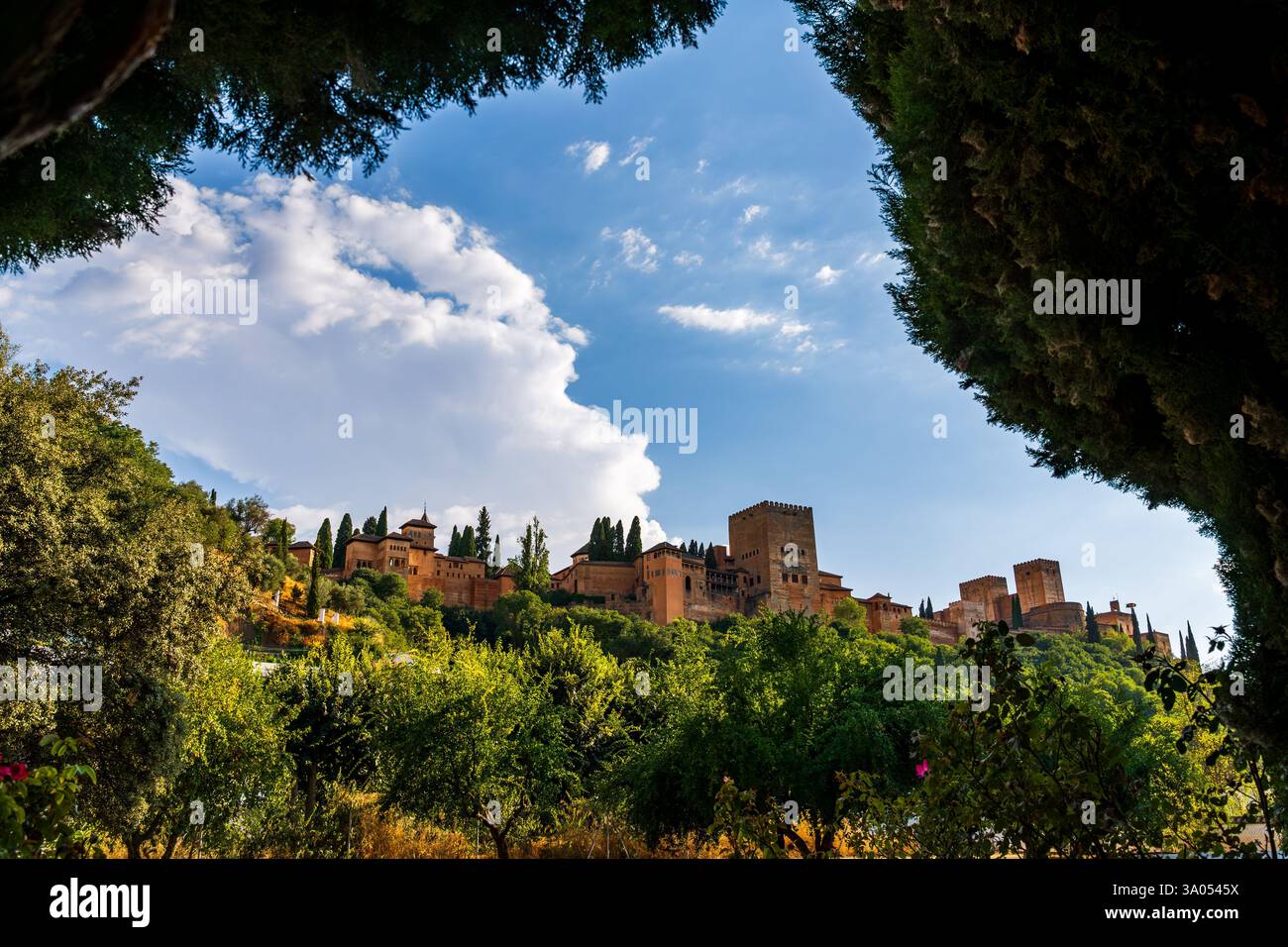 Alhambra Palace in Granada framed by orchard trees and cypress from a ...