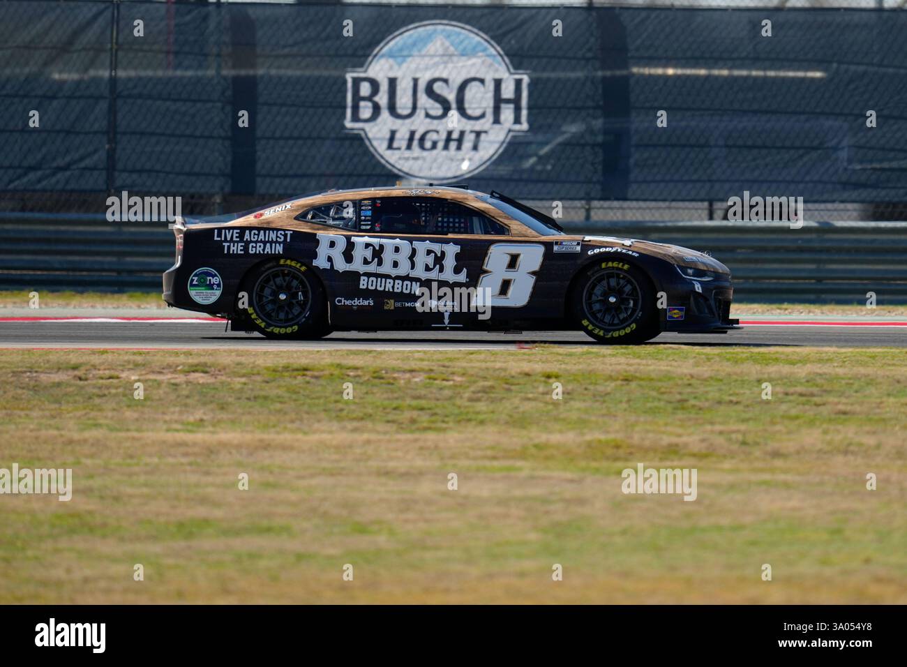 Austin, Texas, USA. 1st Mar, 2025. NASCAR Cup Series driver KYLE BUSCH ...