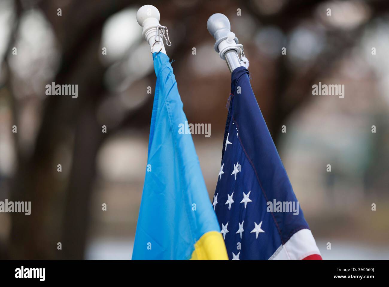 Over one hundred people rallied in Portland, Oregon on March 1, 2025 ...