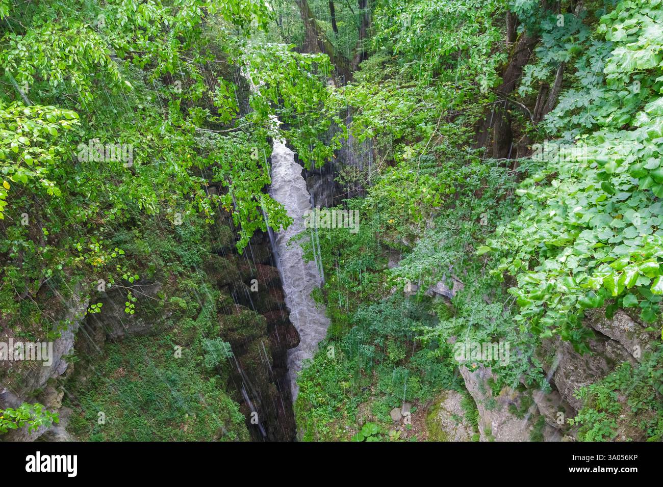 Stunning waterfall cascading down narrow gorge in lush green forest ...
