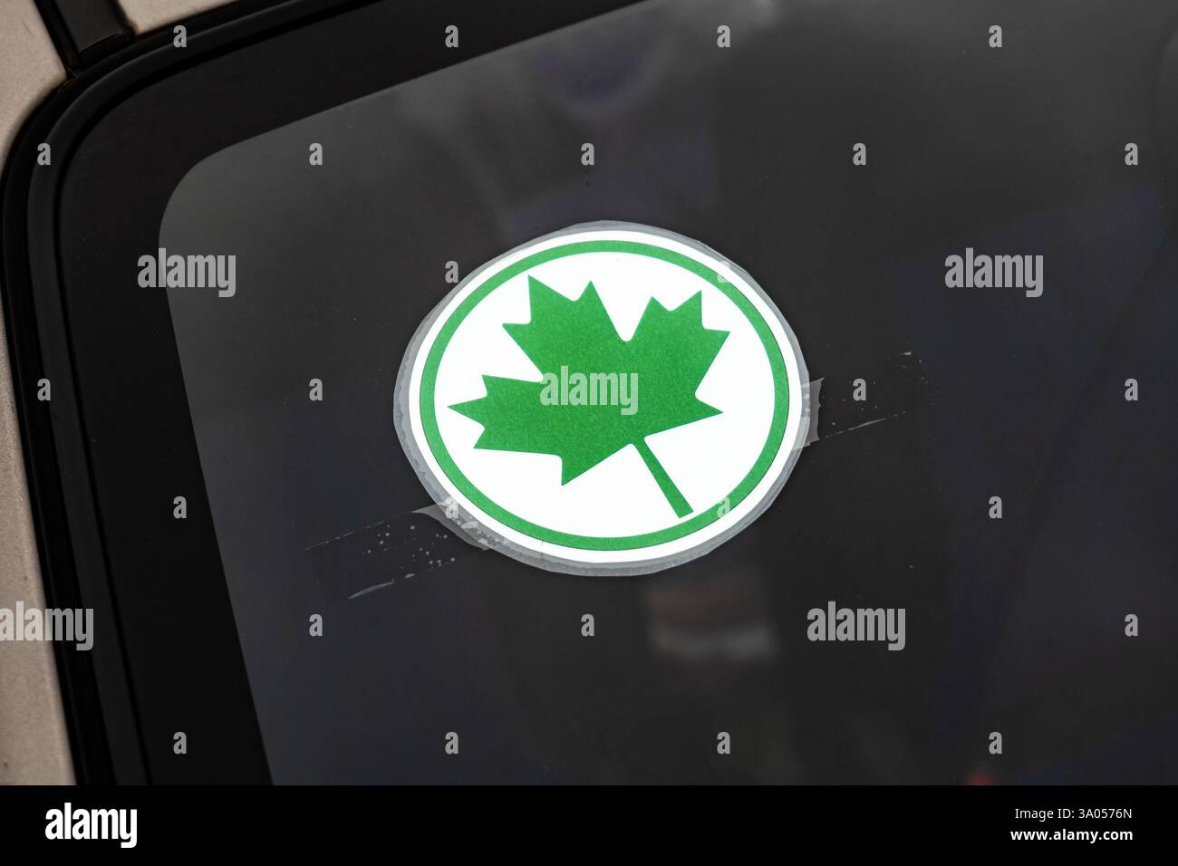 Beginner driver green maple leaf symbol sticker on car window, Poland ...