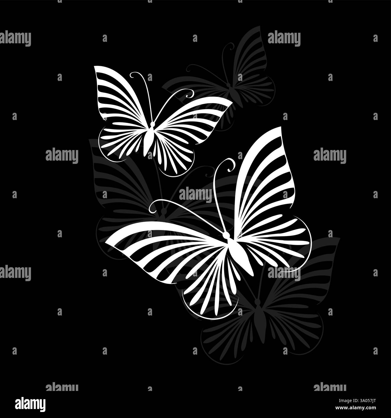 Monochrome butterflies flying. Hand drawing Line art. Not AI. Vector ...