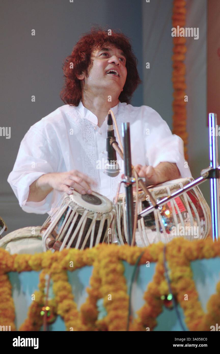 Music, Indian Classical Music, Musical Instrument, Drum, Tabla, Artist ...