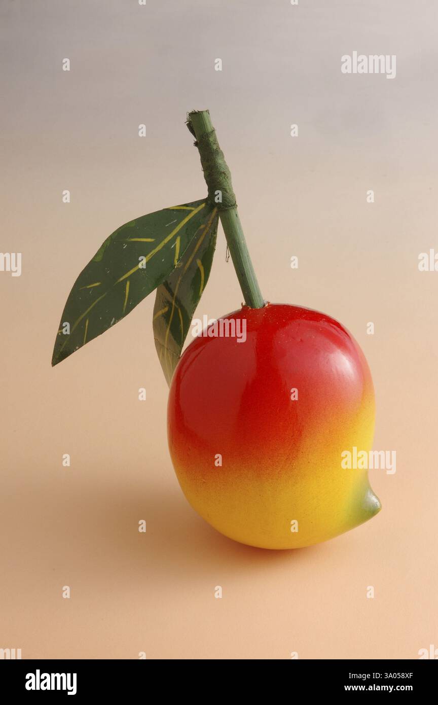 Fruit, English Name Mango Botanical name Mangifera indica L. Family ...