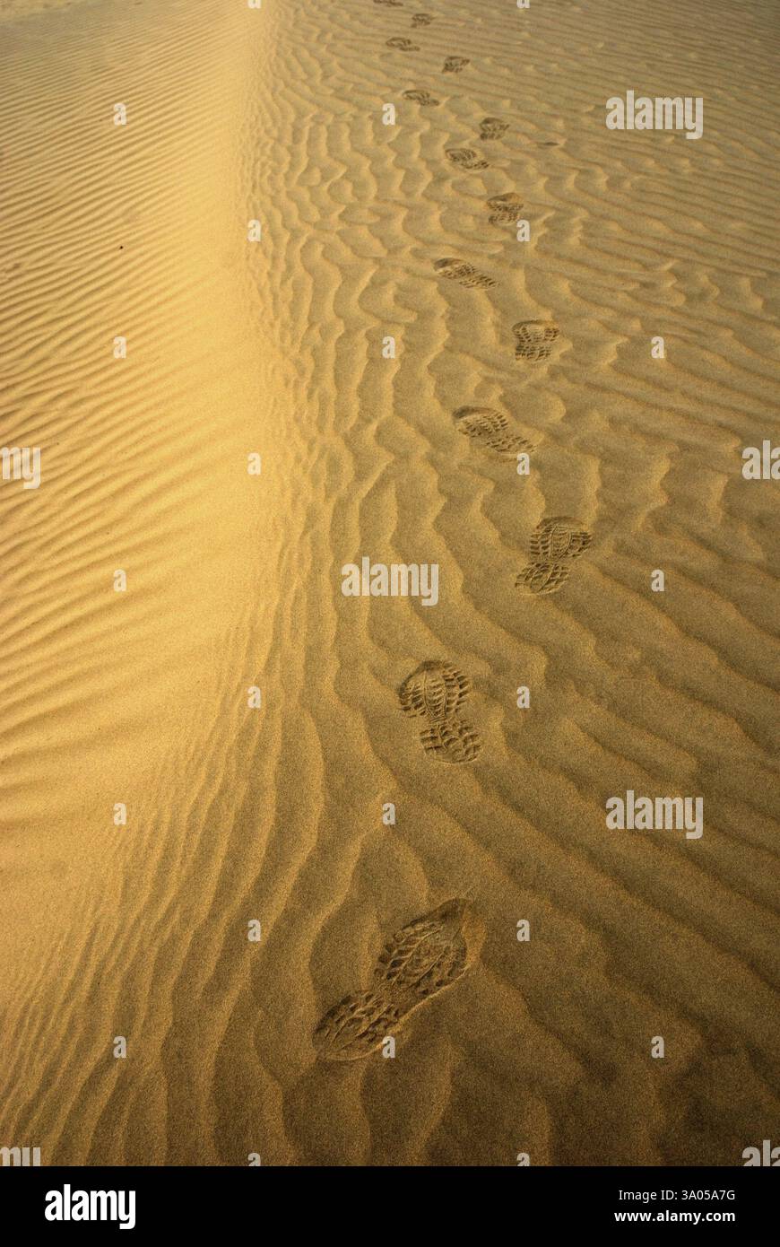 Deep ripples and ridges of sand with footsteps in desert of khuhri ...