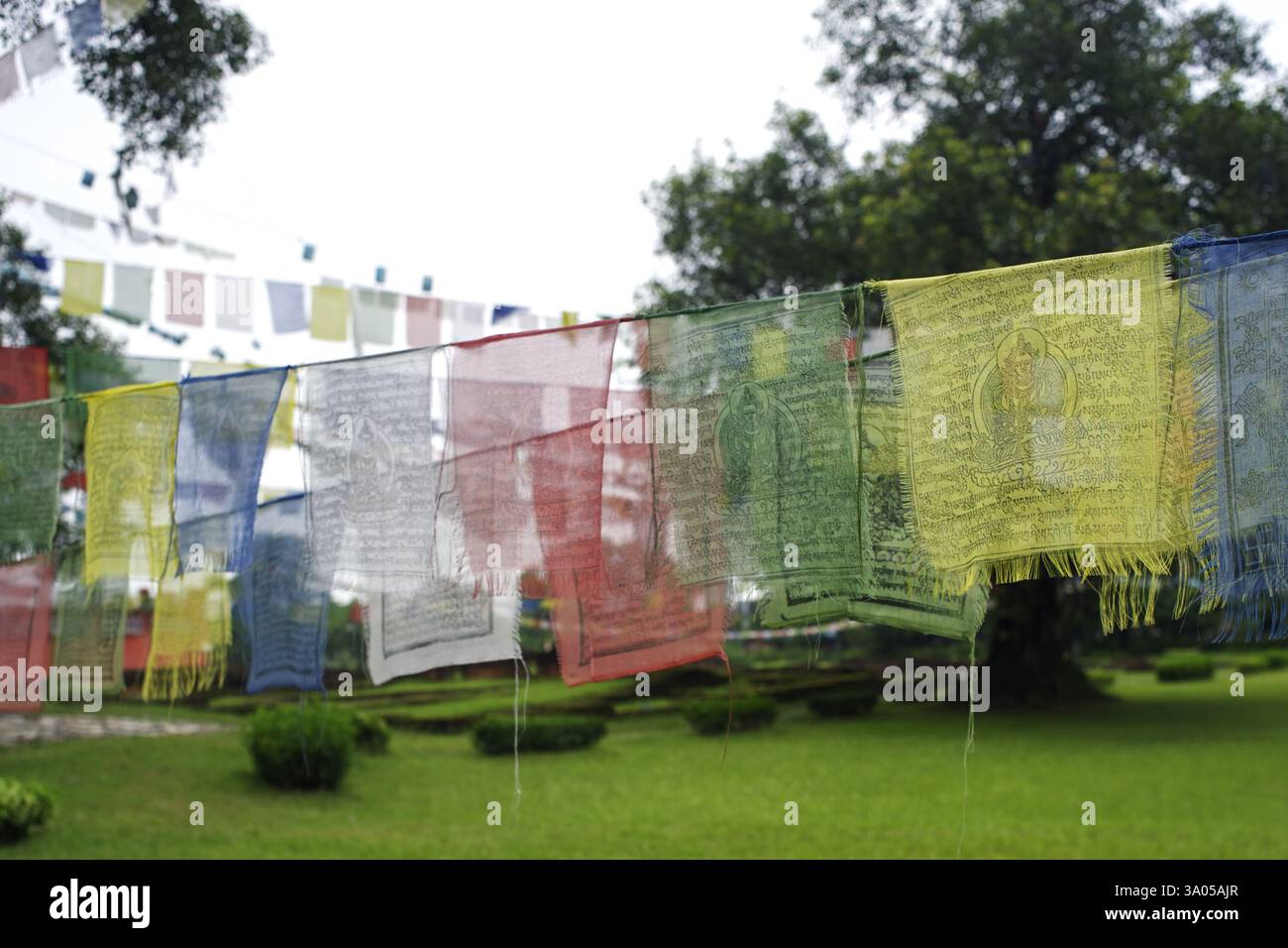 Holy scripture, UNESCO World Heritage site, Gautam Buddha's birthplace ...