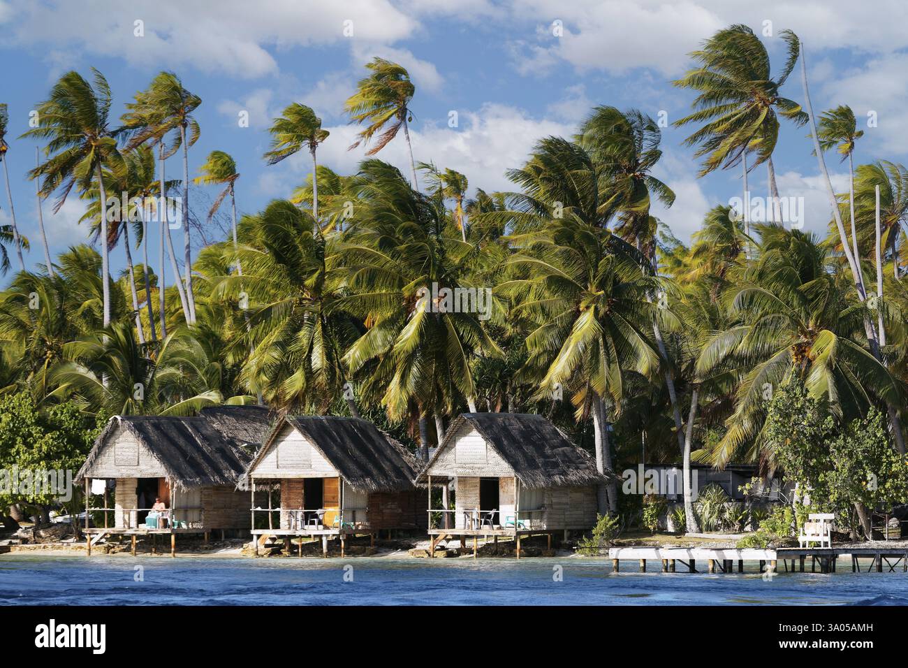 Simple, simple, bungalows, bungalow with terrace on the beach, tall ...