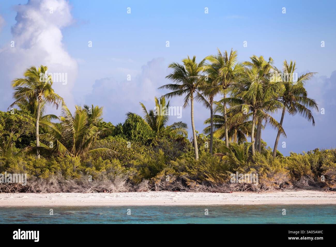 Typical island landscape, island, sandy beach, uninhabited, scrub and ...