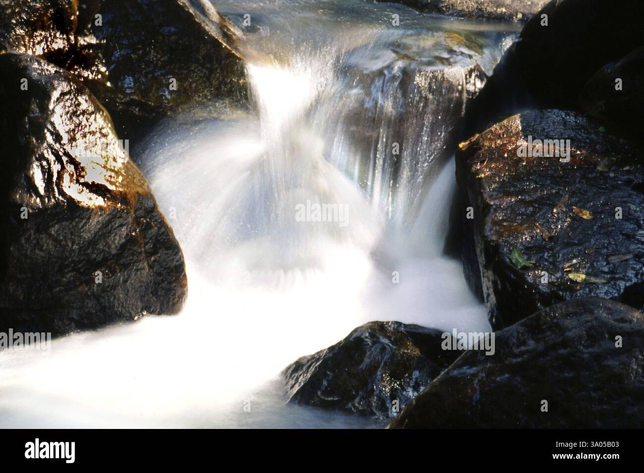 Water flowing rivulet to Kallar river, near Ponmudi Trivandrum District ...
