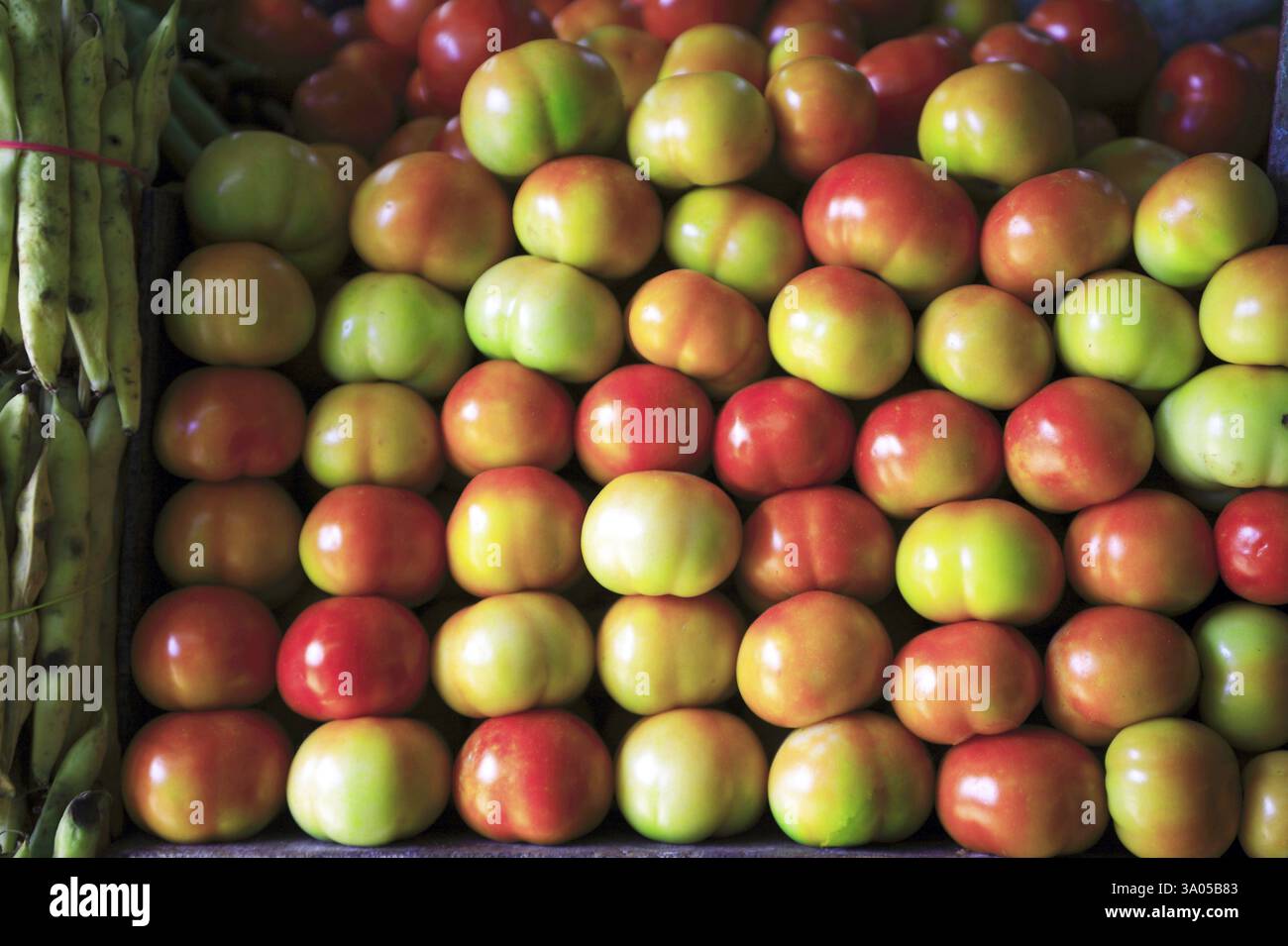 Vegetables, tomatoes in Munnar market, Kerala, India, Asia Stock Photo ...