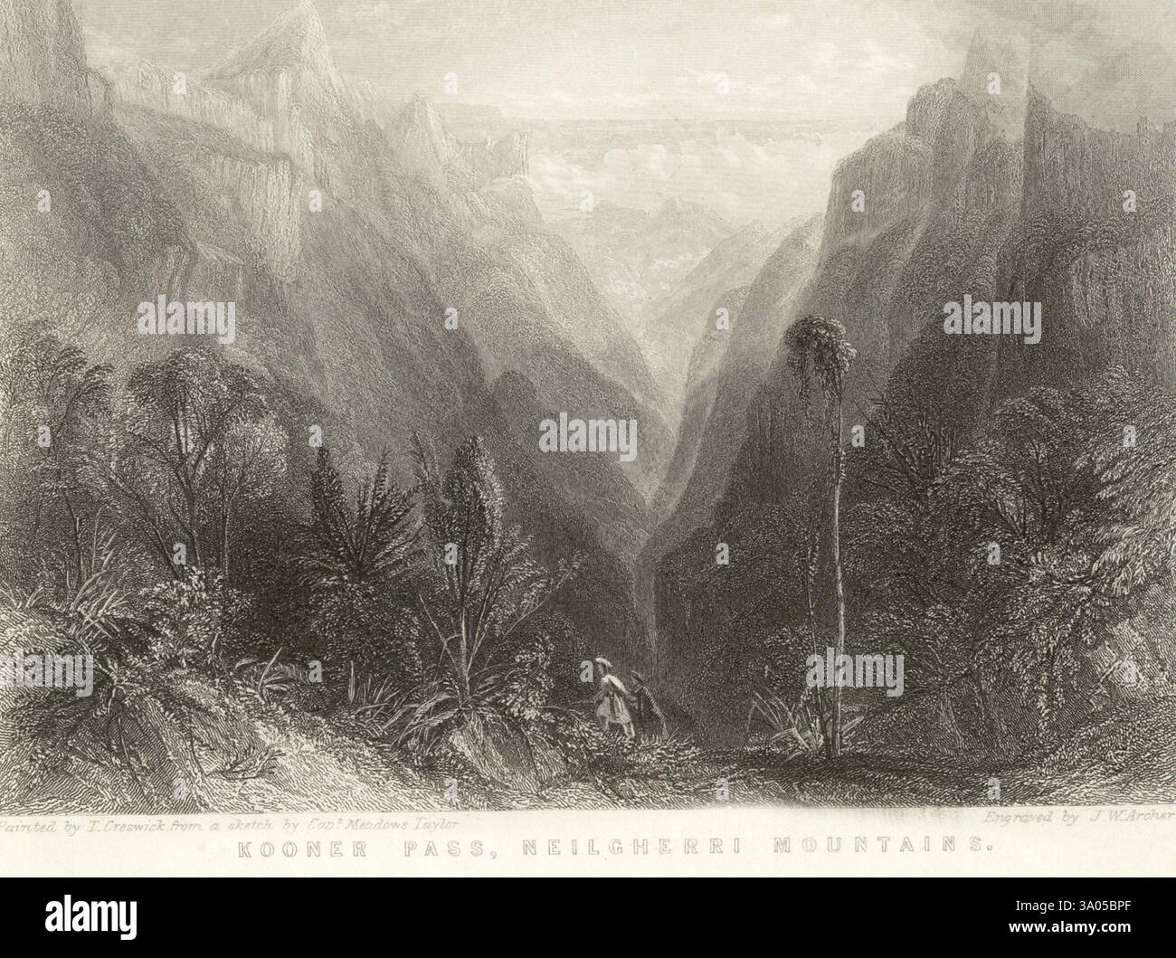 Kooner pass Neilgherri mountains, India, Asia Stock Photo - Alamy