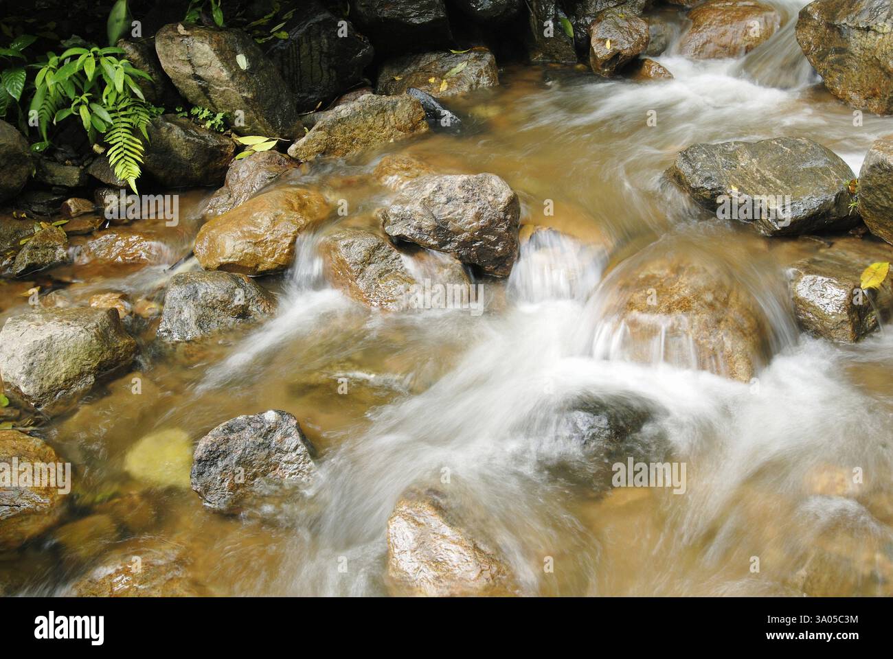 A waterfall during monsoon near Coonoor, Nilgiris, Tamil Nadu, India ...