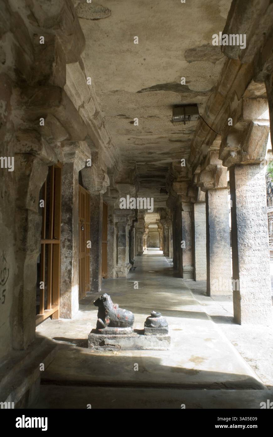 Inside Structure and Statue of Nandin or Bull In Brihadeshwara Temple ...