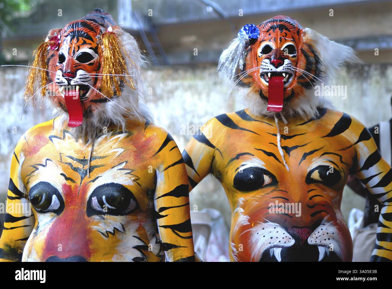 Pulikali or tiger play performers painted bodies like tigers during onam celebration, Trivandrum ...