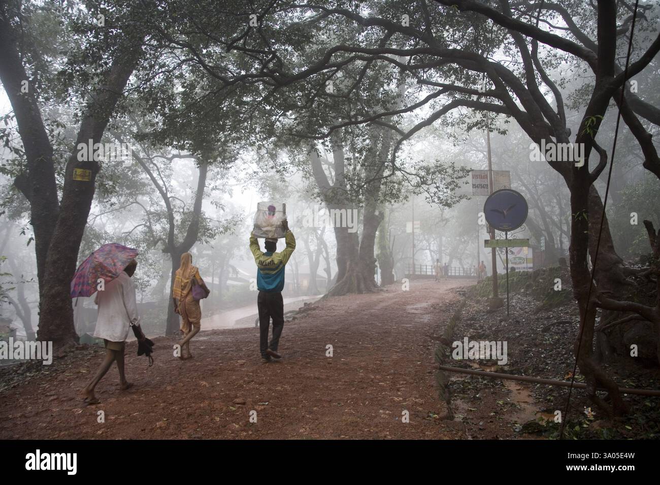 View of forest in Monsoon Season on Hill station, Matheran, Maharashtra ...