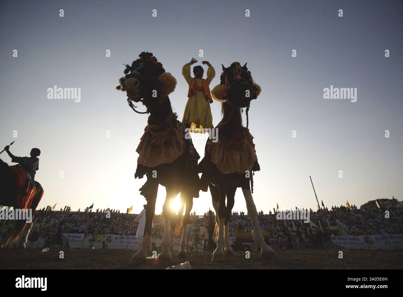 Nihangs Sikh warriors horse showing stunts Consecration of perpetual ...