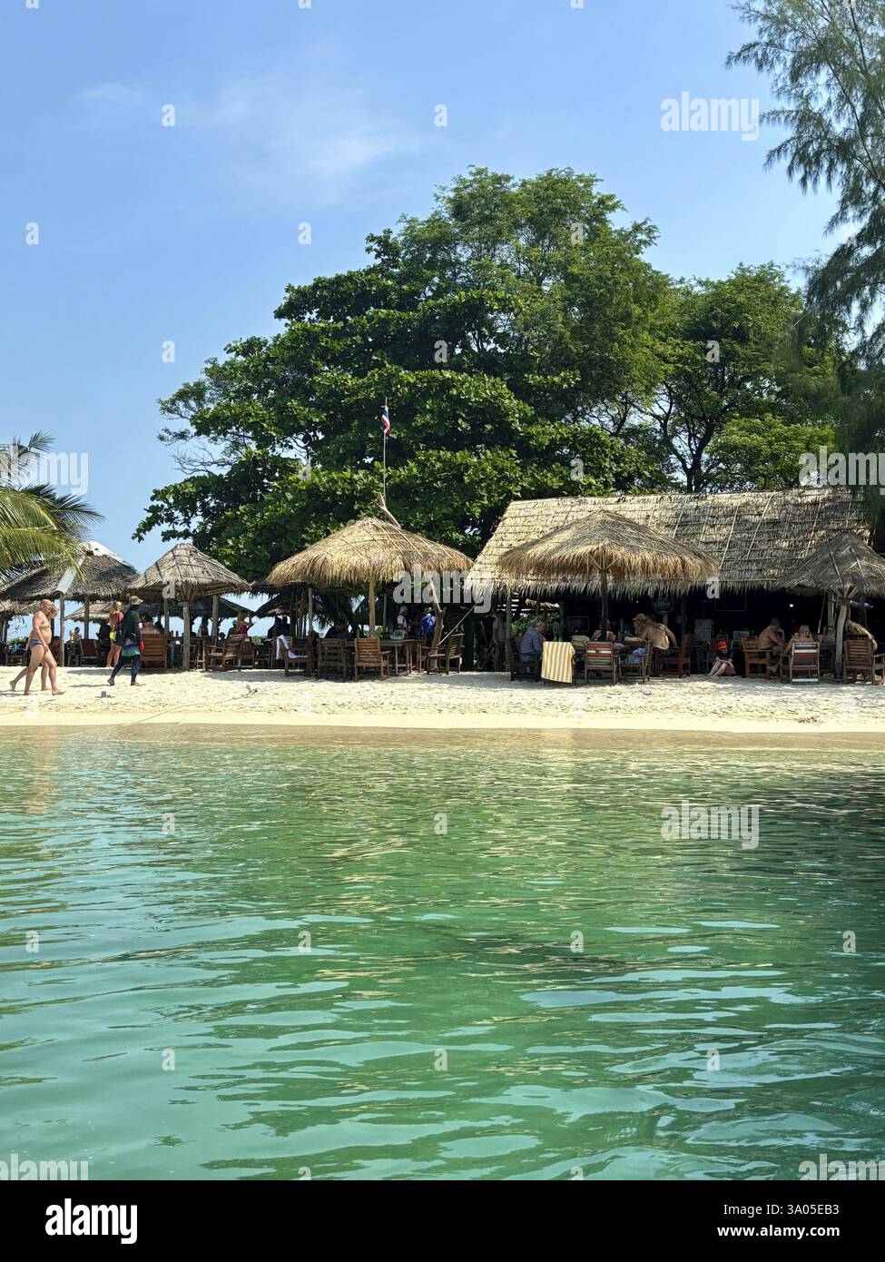 Beach huts under palm trees with relaxed people on a sunny day, koh ...