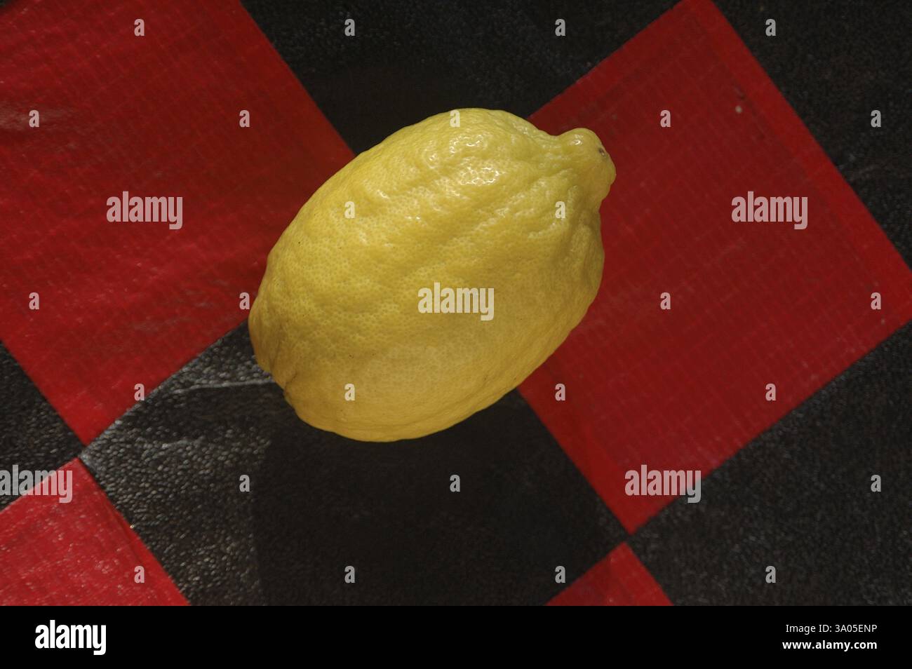 Food, Fruits Lemon Citrus limon, Family: Rutaceae Citrus Fruit, Oval ...