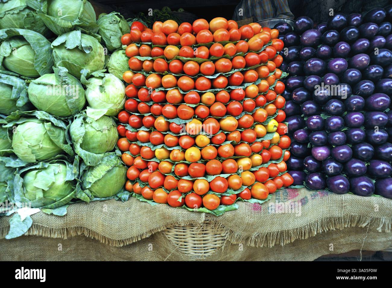 Vegetable, green cabbage red tomato purple brinjal Stock Photo - Alamy