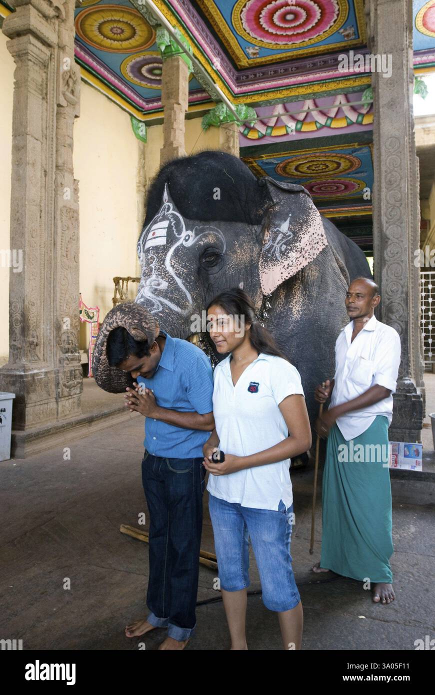 Elephant blessing in Meenakshi temple, Madurai, Tamil Nadu, India, Asia ...