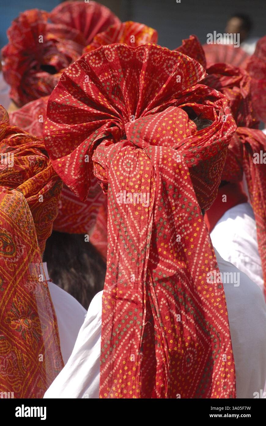 Close-up of man wearing turban from back side in procession for ...