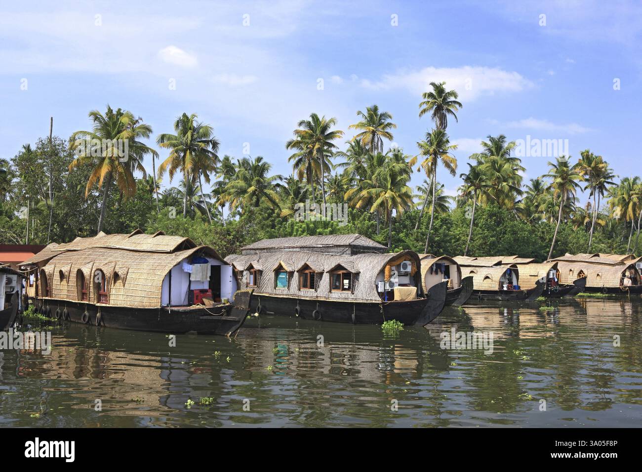 Houseboats in backwaters, Alleppey Alappuzha, Kerala, India, Asia Stock ...