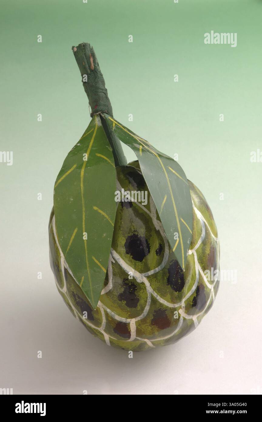 Fruit, English Name Custard Apple Botanical Name Annona squamosa L ...