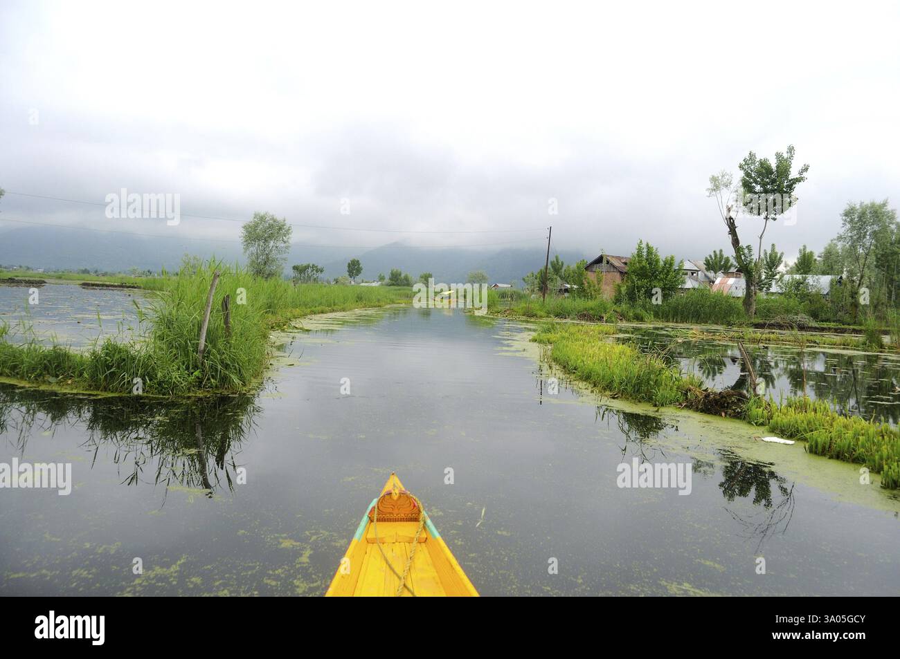 Canoe in dal lake, Srinagar, Jammu and Kashmir, India, Asia Stock Photo - Alamy