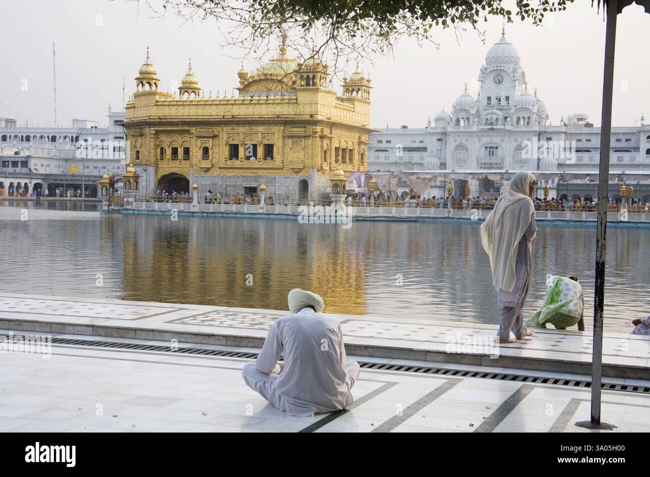 Hari Mandir Sahib, Swarn Mandir Golden temple, Amritsar, Punjab, India ...