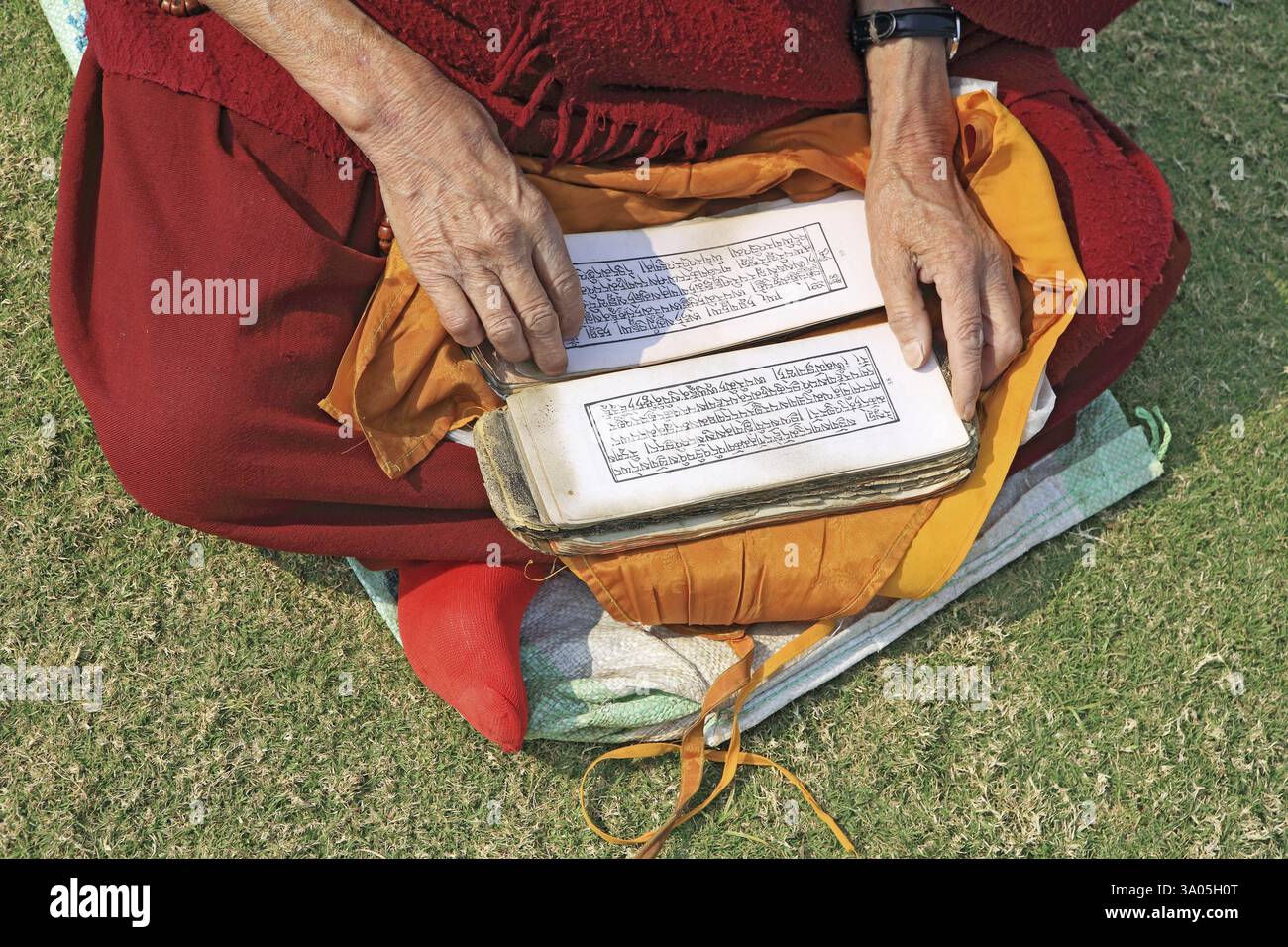 Buddhist monk reading scriptures, Sanchi, Madhya Pradesh, India, Asia ...