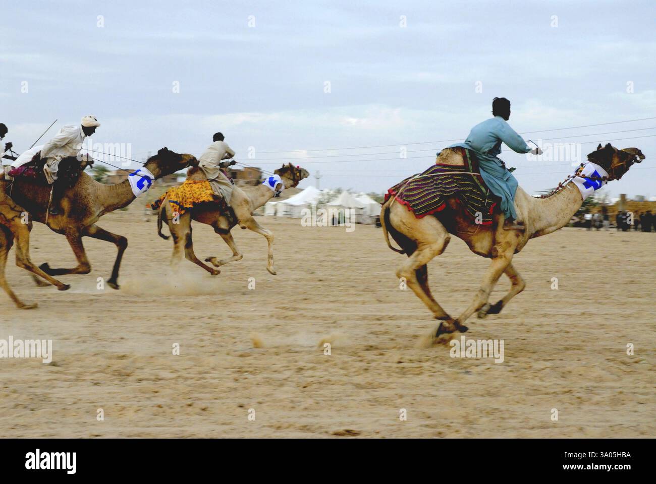 Camels race at Dendasar stadium in desert festival, Jaisalmer ...