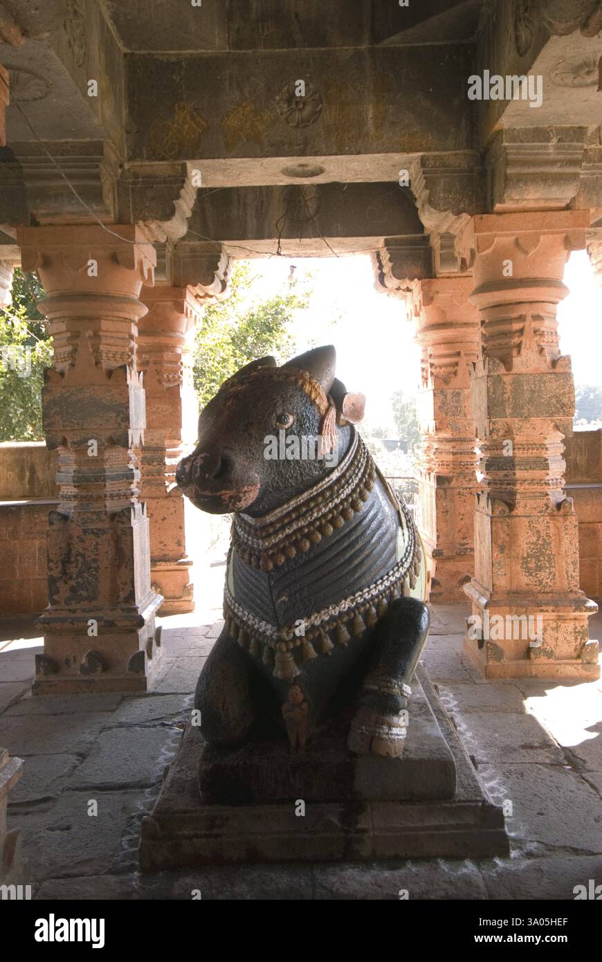 Big statue of nandi at sangmeshvar temple at Sasvad village, taluka ...